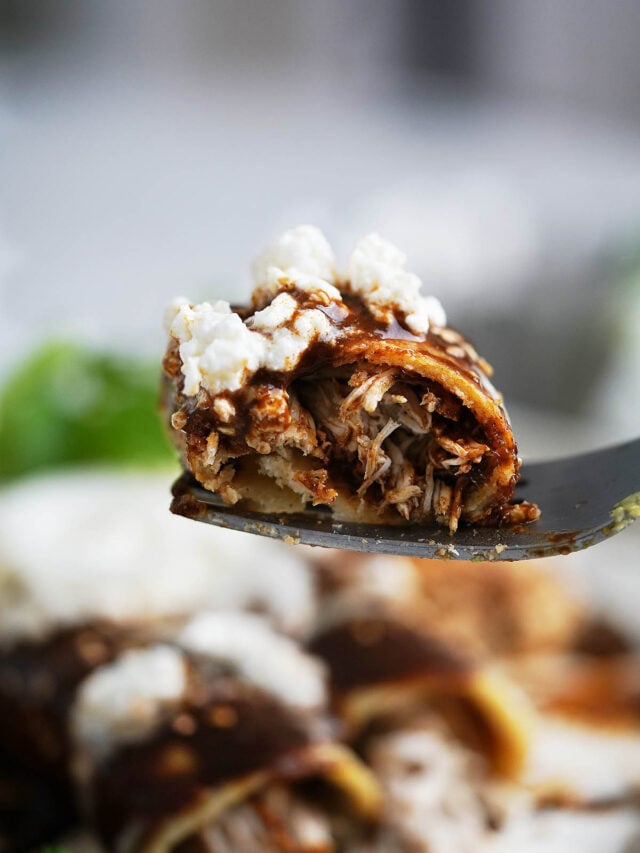 Enmoladas (Chicken Mole Enchiladas) | Muy Delish
