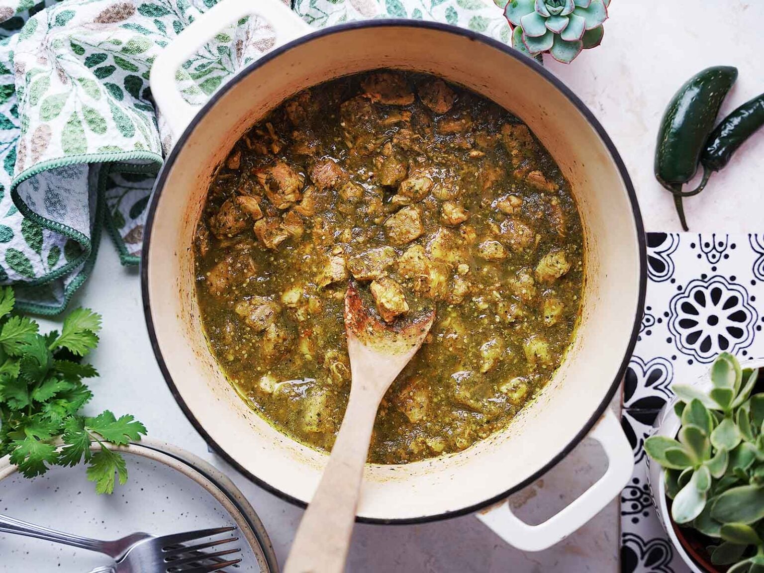 Pork Chile Verde | Muy Delish